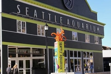 The Gum Wall: Everything You Need Before Visiting