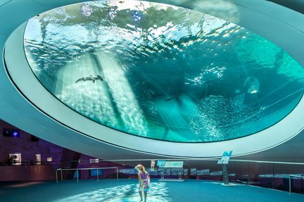 Paradox Museum Miami: Everything You Need Before Visiting