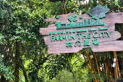 Icescape Ice Rink @ IOI City Mall: Everything You Need Before Visiting