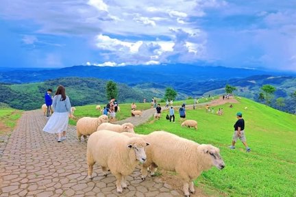 Best Doi Chang Tours, Thailand 2025