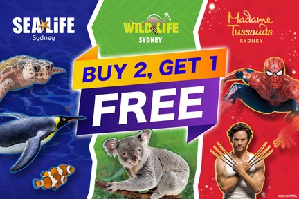 Manly: Everything You Need Before Visiting