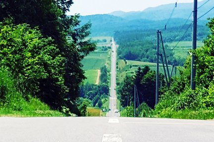 Cẩm nang du lịch Panorama Road từ A-Z