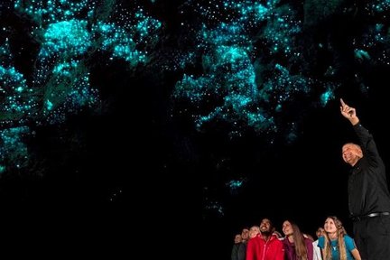 Best things to do in Waitomo Glowworm Caves, New Zealand 2025