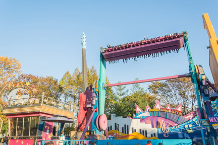 Everland Must-See Attractions, Location & Reviews