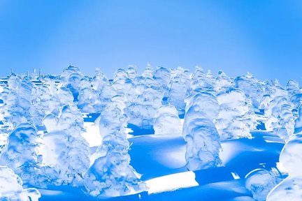 Mount Zao: Top Attractions & Reviews