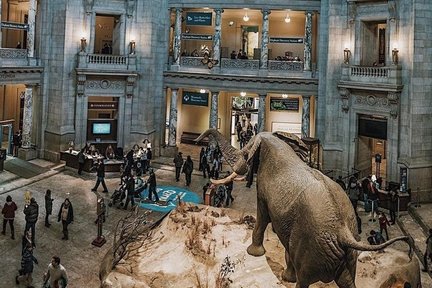 Best Smithsonian National Museum of Natural History Tours, United ...