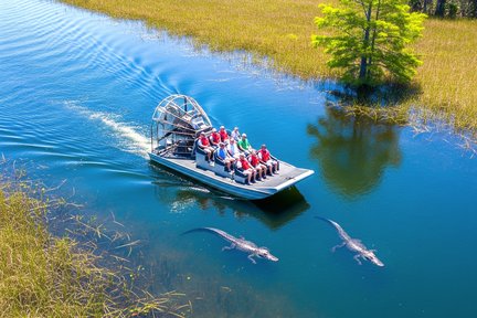 Everglades National Park: Everything You Need Before Visiting