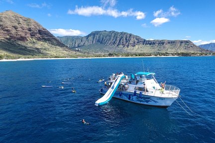 Best Honolulu Zoo Snorkeling, United States 2025