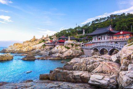 Cheongsapo Daritdol Observatory: Everything You Need Before Visiting