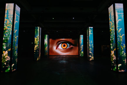 Best things to do in AMAZE Amsterdam, Netherlands 2025