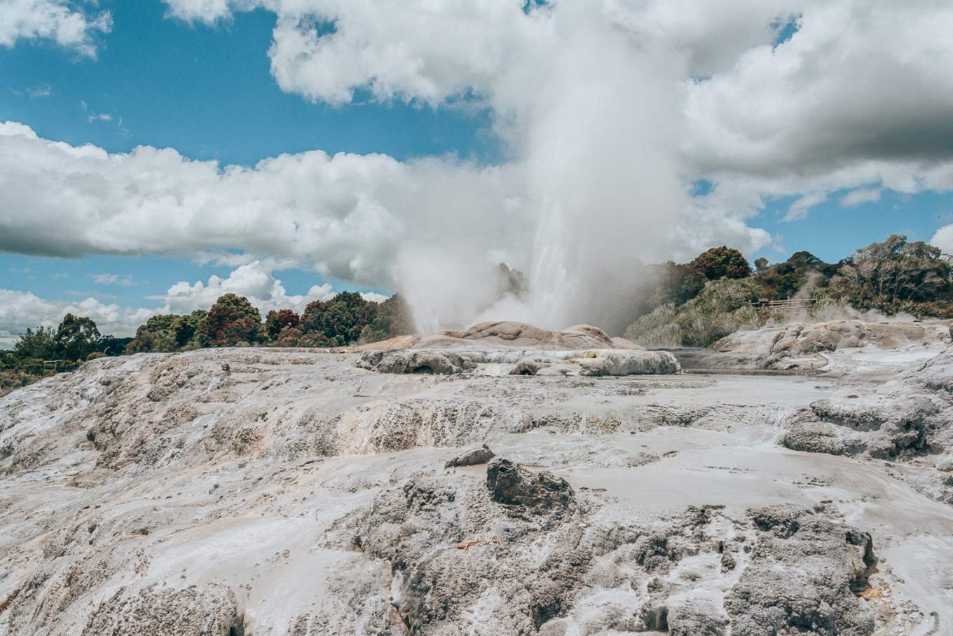 10 Unique Experiences You Need To Have In Rotorua - Klook Travel Blog