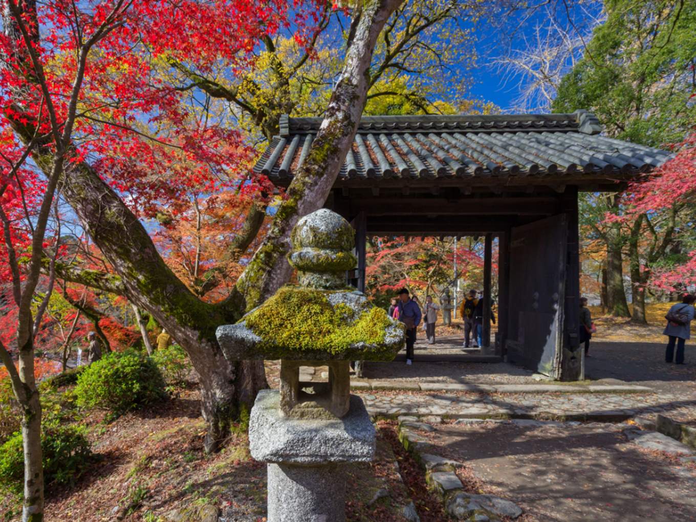 Bagaimana Menggunakan Japan Rail Pass: Wilayah Kyushu - Klook Blog