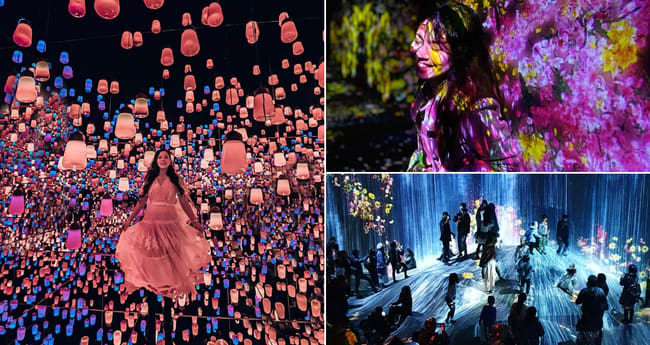 21 Photos That Will Convince You To Visit teamLab Borderless and ...