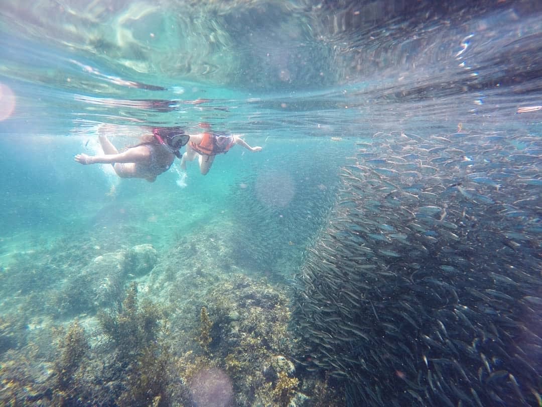 9 Must-Visit Spots in Bohol for an Adrenaline-Packed Adventure With the ...