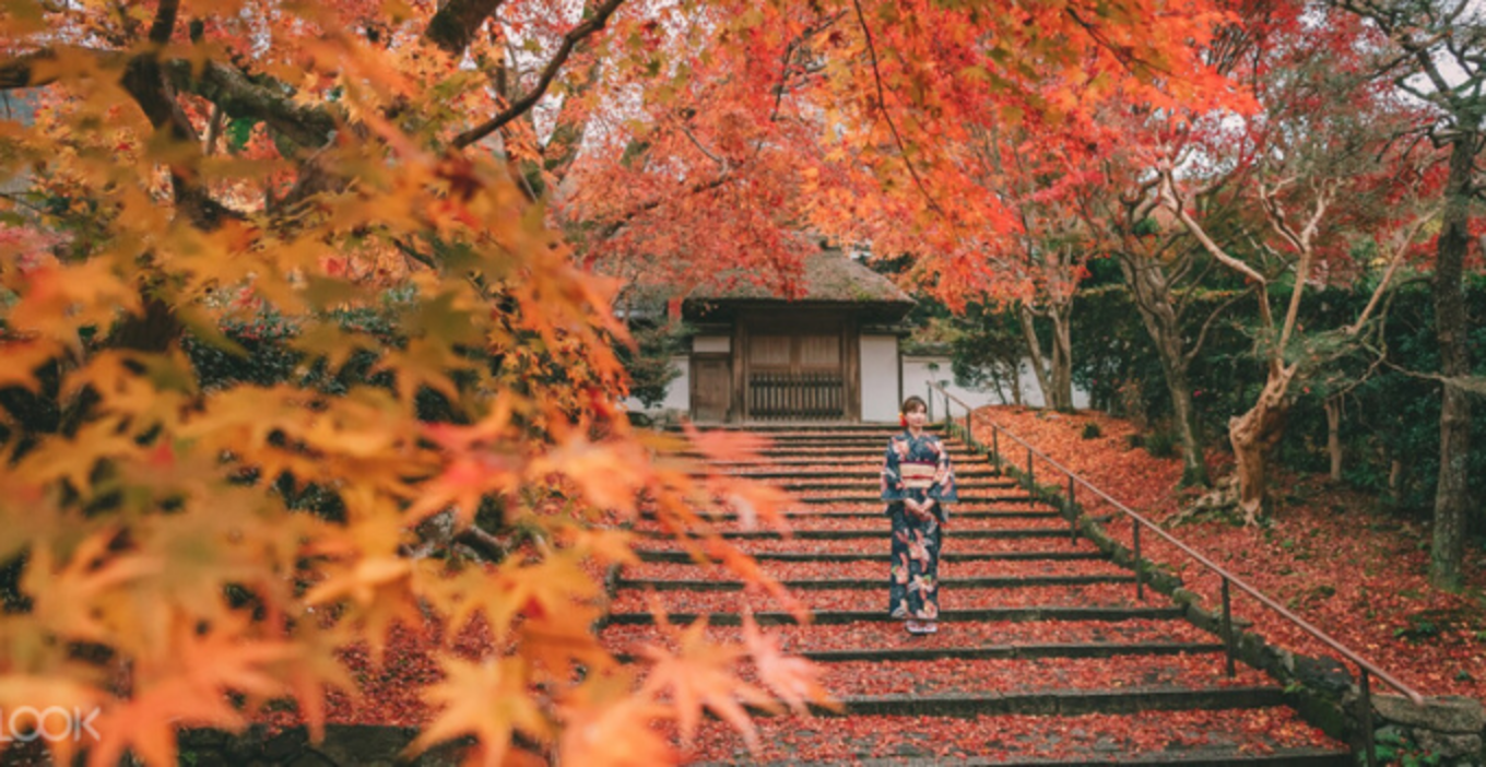 The Best Places to See Maple Leaves in Tokyo - Klook Travel Blog