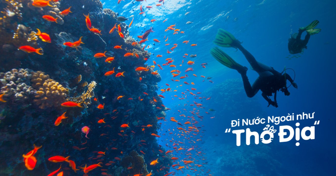 Scuba Diving Là Gì, 11 Điểm Lặn Scuba Diving Hàng Đầu Châu Á - Klook Blog