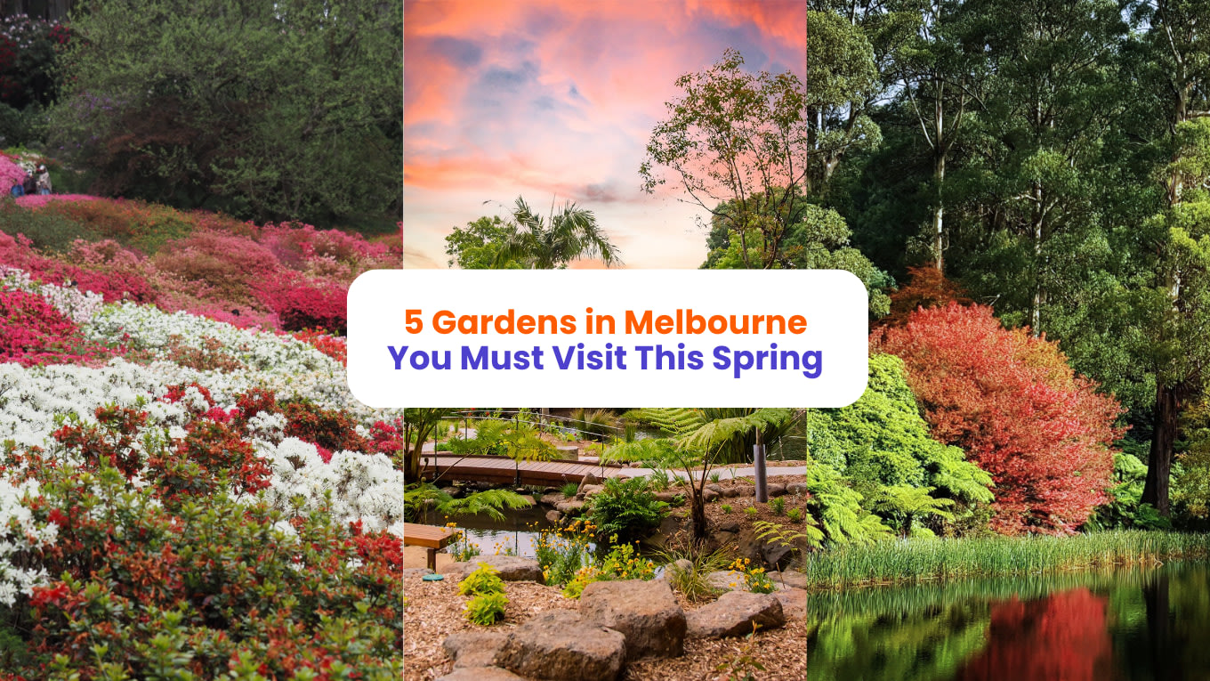 5 Gardens in Melbourne You Must Visit This Spring - Klook Travel Blog