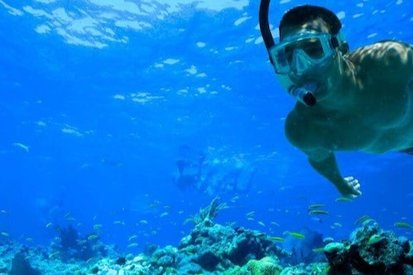Top 10 Key West Snorkeling 2025 - Klook