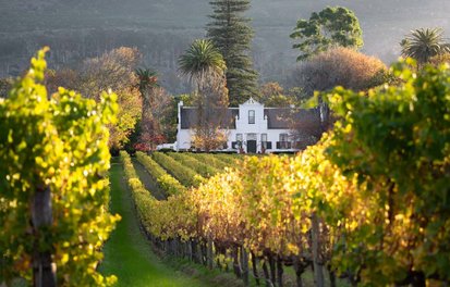 Top 10 Activities in Cape Winelands District Municipality 2025 - Klook ...