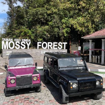 Top 10 Activities in Lojing 2025 - Klook