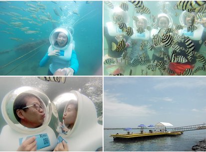 Top 10 South Korea Snorkeling 2025 - Klook