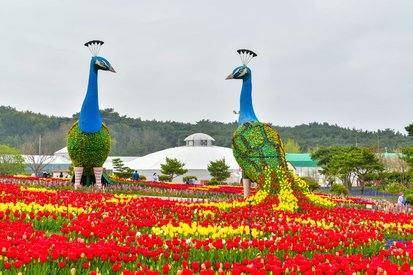 Top 10 Chungcheong-do Day trips 2024 - Klook United States