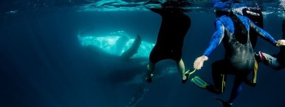 Top 10 Exmouth Water activities 2025 - Klook