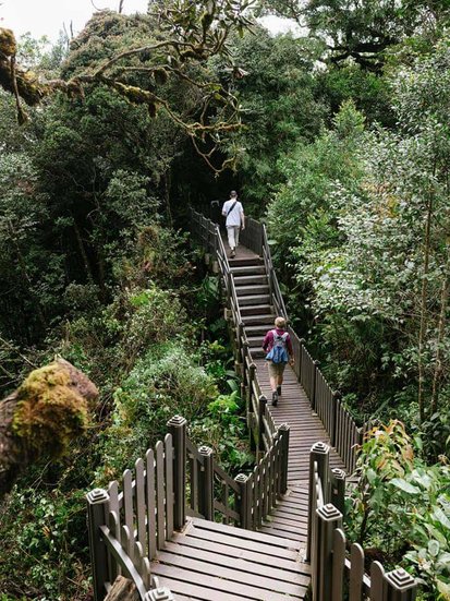 Top 10 Activities in Cameron Highlands 2025 - Klook United Kingdom