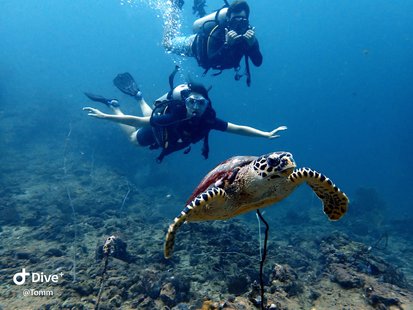 Top 10 Krabi Scuba diving 2025 - Klook India