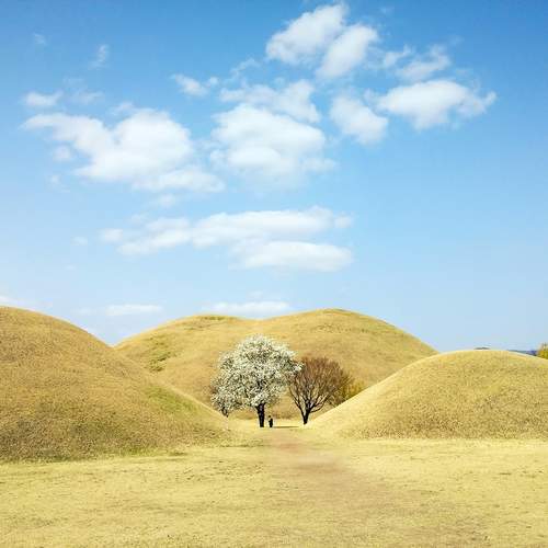 Daereungwon Royal Tomb