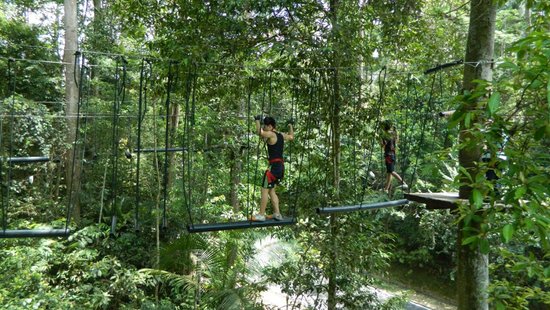 Top 10 Malaysia Ziplining 2023 - Klook