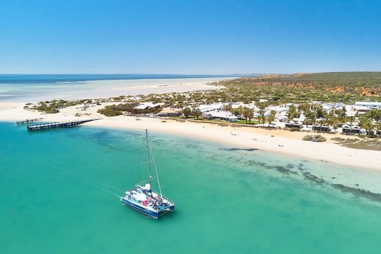 Top 10 Kalbarri Wildlife 2023 - Klook