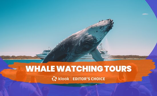 Top 10 Perth Cruises 2023 - Klook