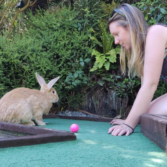 2023년 로토루아 골프 베스트 10 - 클룩 Klook 대한민국