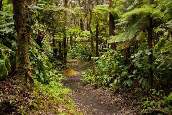 10 Tour & aktivitas terbaik di Coorg 2023 - Klook Indonesia