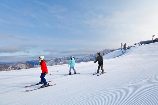 Top 10 Activities in Kinki Area 2023 - Klook