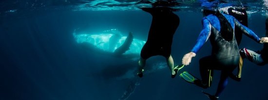 Top 10 Activities in Exmouth 2023 - Klook United States