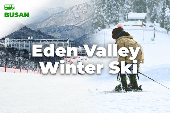 Top 10 Busan Tours 2023 Klook