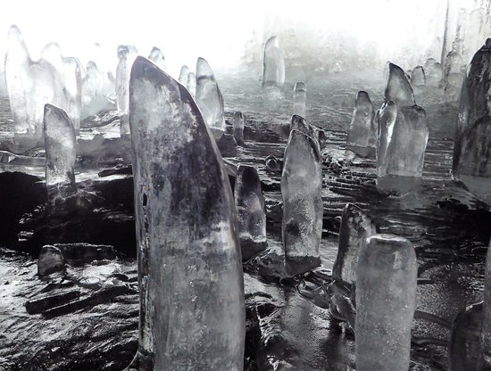 Top 10 Nara Outdoor & sports activities 2024 - Klook United States