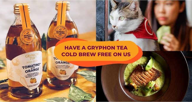 Get A Free Gryphon Tea Cold Brew Sparkling Tea With These Food Packages ...