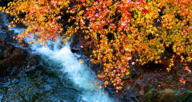 The Best Spots to Capture Autumn in Japan - Klook Travel Blog