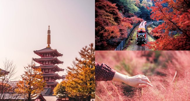 Autumn Travel Recommendations: The Best Autumn Destinations Across The ...