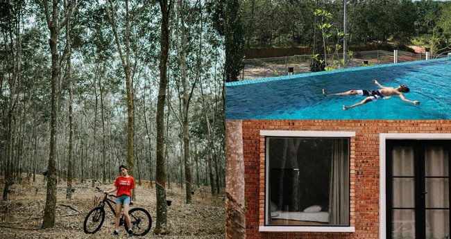 The Rubber Escape Nature Retreat: Spend A Night In The Heart Of A Lush ...