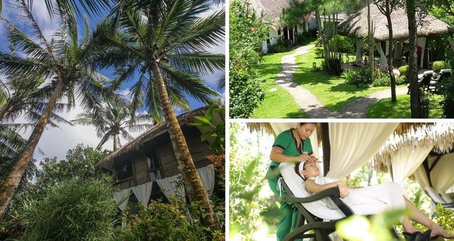 Nurture Wellness Village: A Rejuvenating Haven for Body and Spirit ...