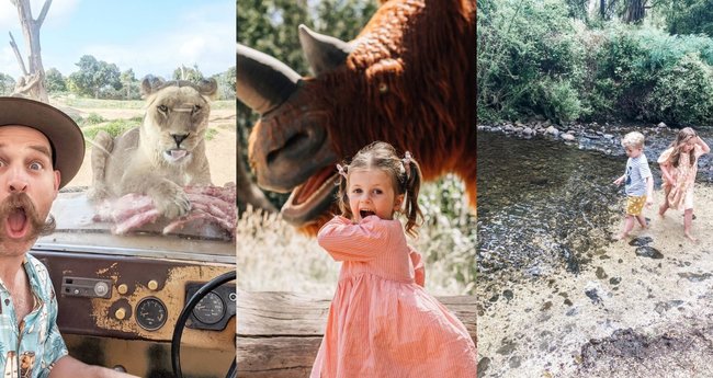 Plan an Awesome Day Out at the Zoo! Opening Hours of Victoria's Zoos ...