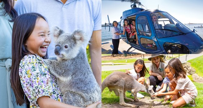 8 Fun Things to Do in Gold Coast With Kids Beyond Theme Parks - Klook ...
