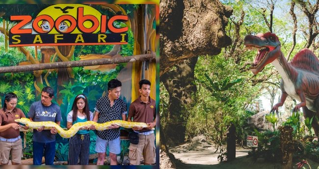 Go On A Kids’ Day Out in Subic For That Ultimate Family Adventure ...