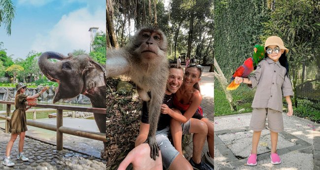 The 6 Best Wildlife Experiences in Bali - Klook Travel Blog