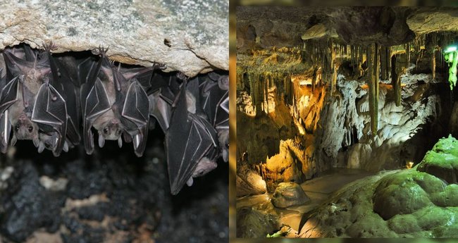 For The Adventure-Seeker: Caves To Add To Your Bucket List When ...