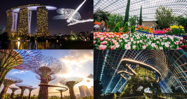 เที่ยวสวน Gardens By The Bay สิงคโปร์ กลางวันหรือกลางคืนดี? - Klook Blog